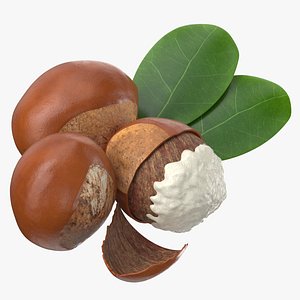 3D Nuts Models - Browse & Download Formats - TurboSquid