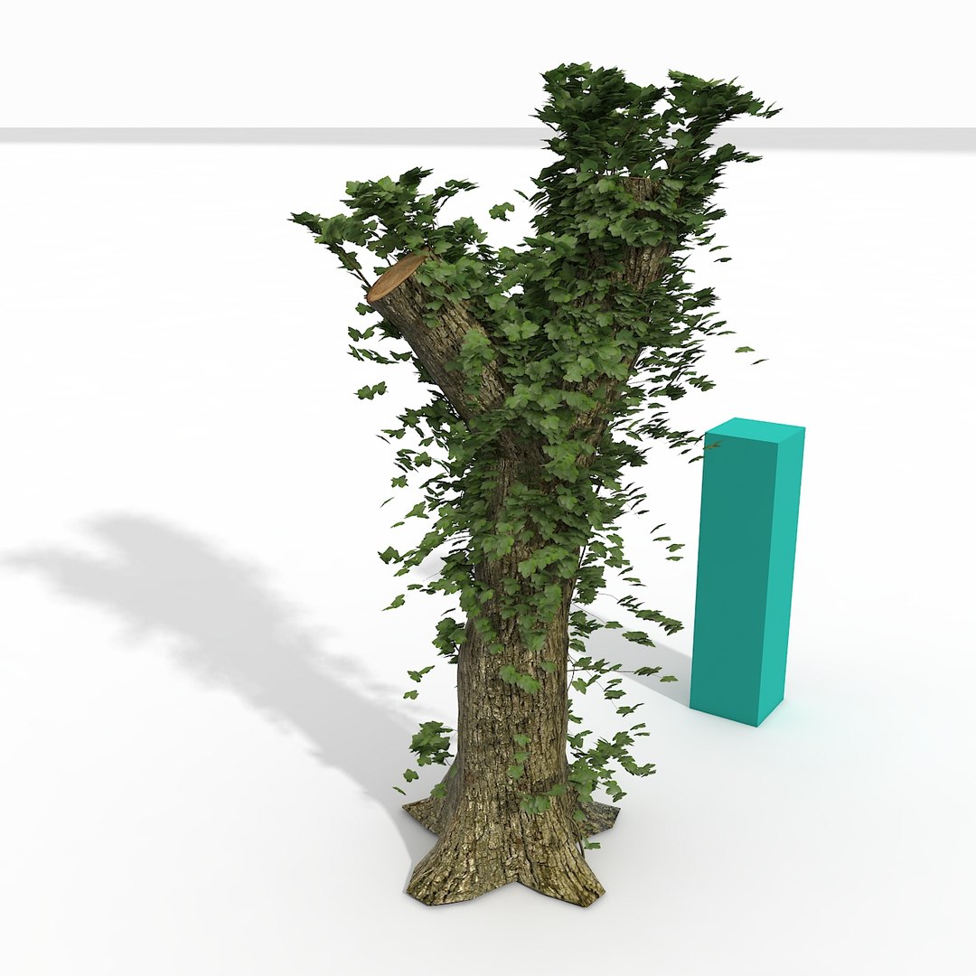 3d Wood Climb Model