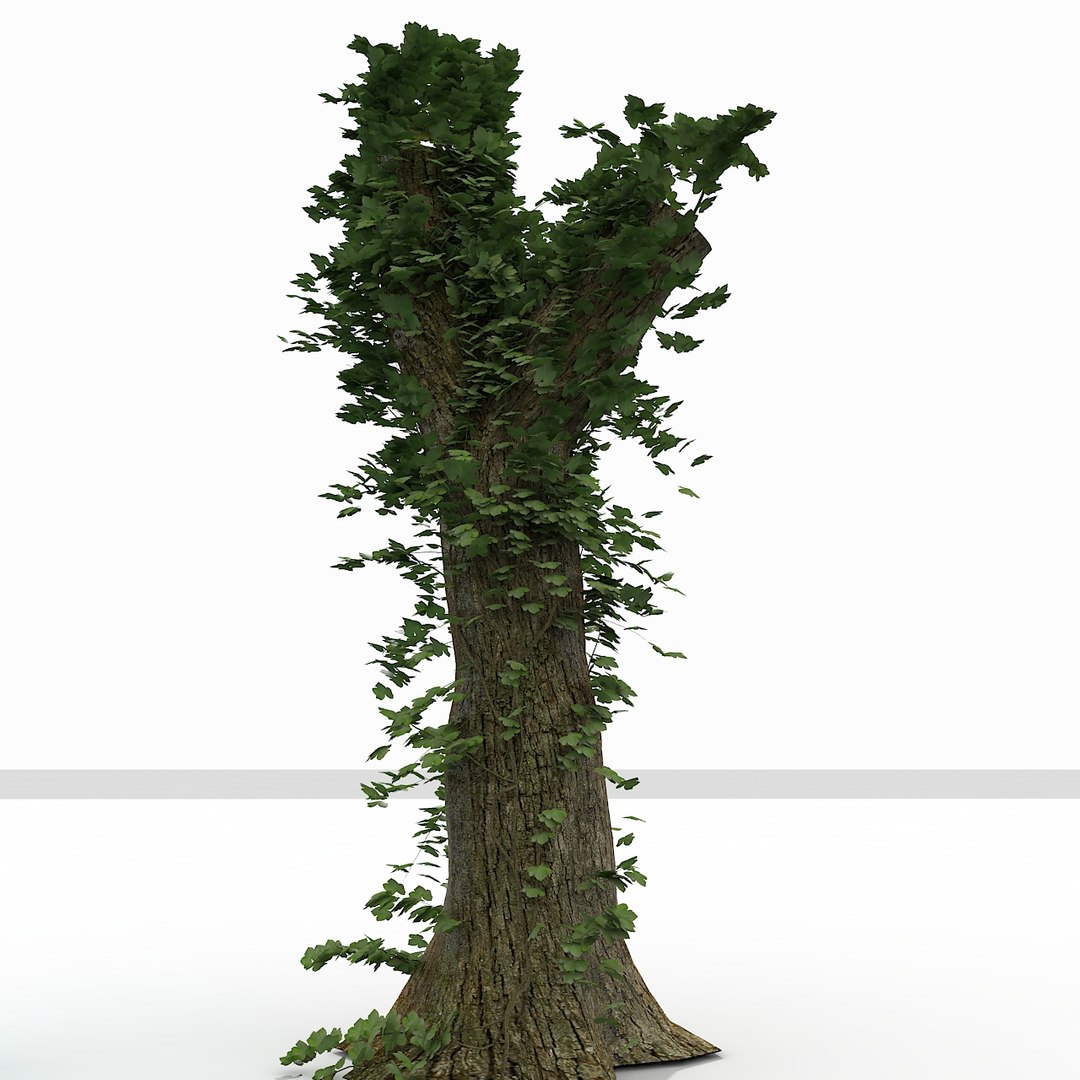 3d Wood Climb Model