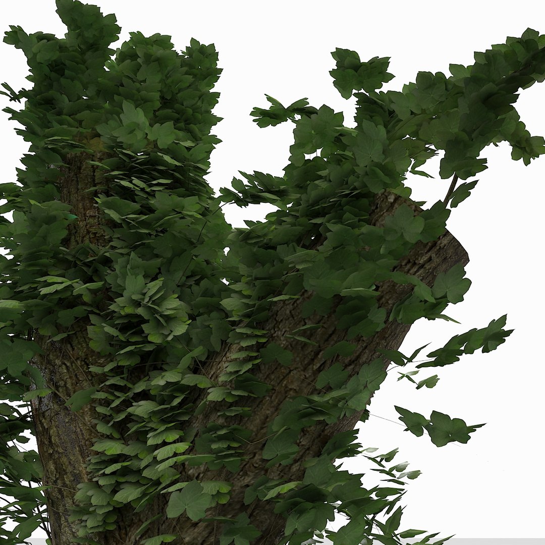 3d Wood Climb Model