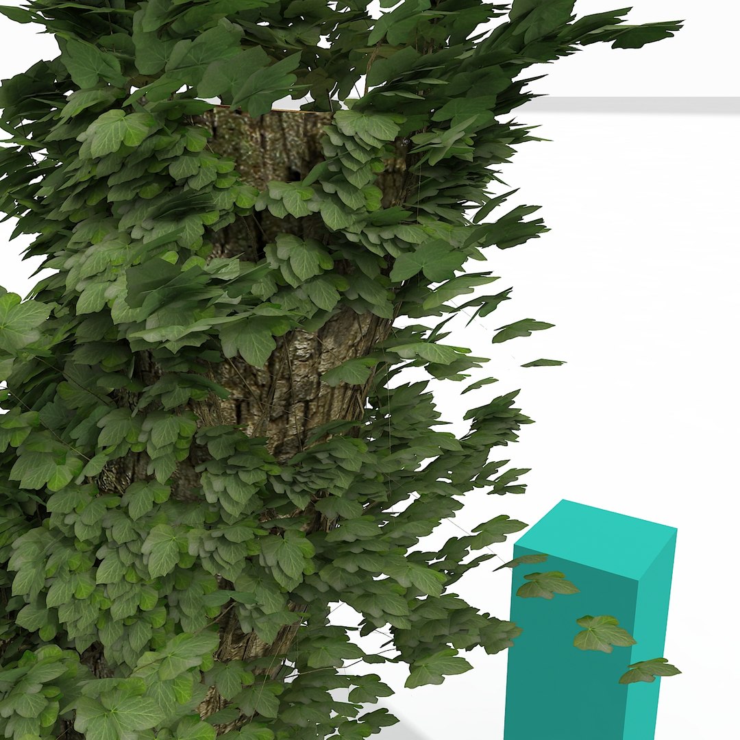 3d Wood Climb Model