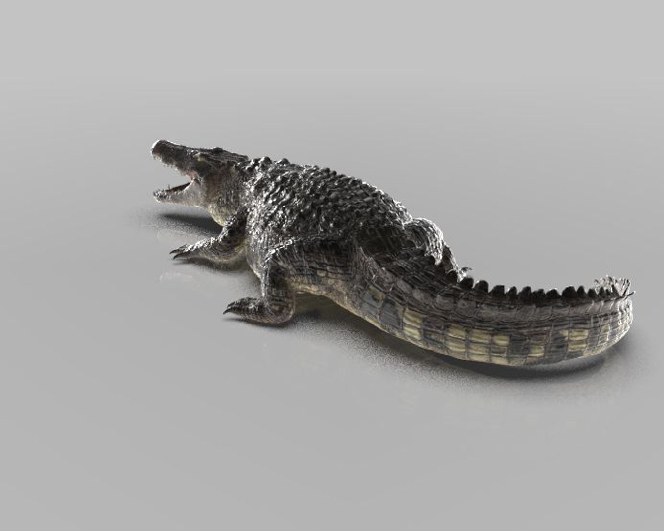 3D Realistic Crocodile Model - TurboSquid 1360007