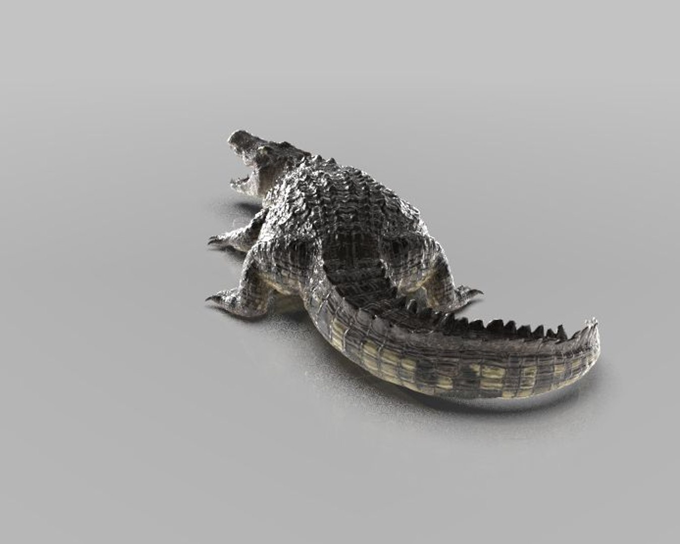 3D Realistic Crocodile Model - TurboSquid 1360007