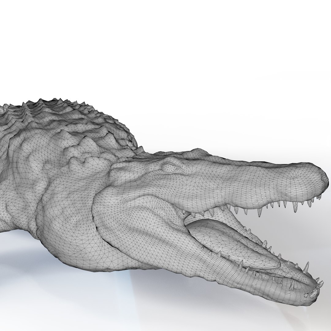 3D Realistic Crocodile Model - TurboSquid 1360007