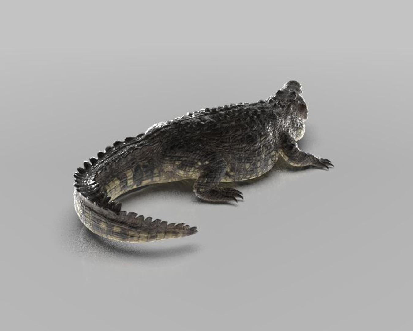 3D Realistic Crocodile Model - TurboSquid 1360007