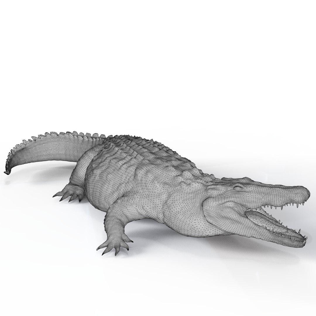3D Realistic Crocodile Model - TurboSquid 1360007