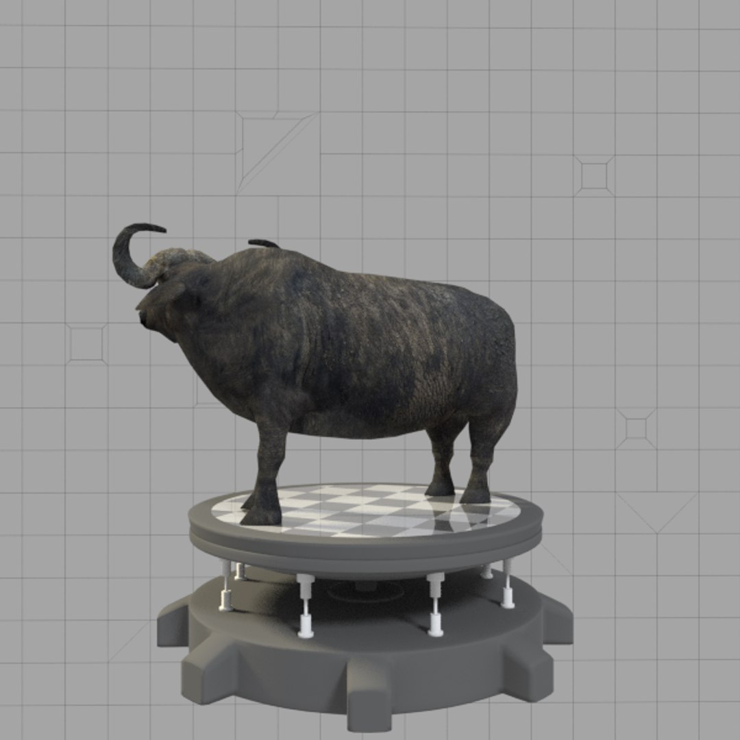 3d Model African Buffalo