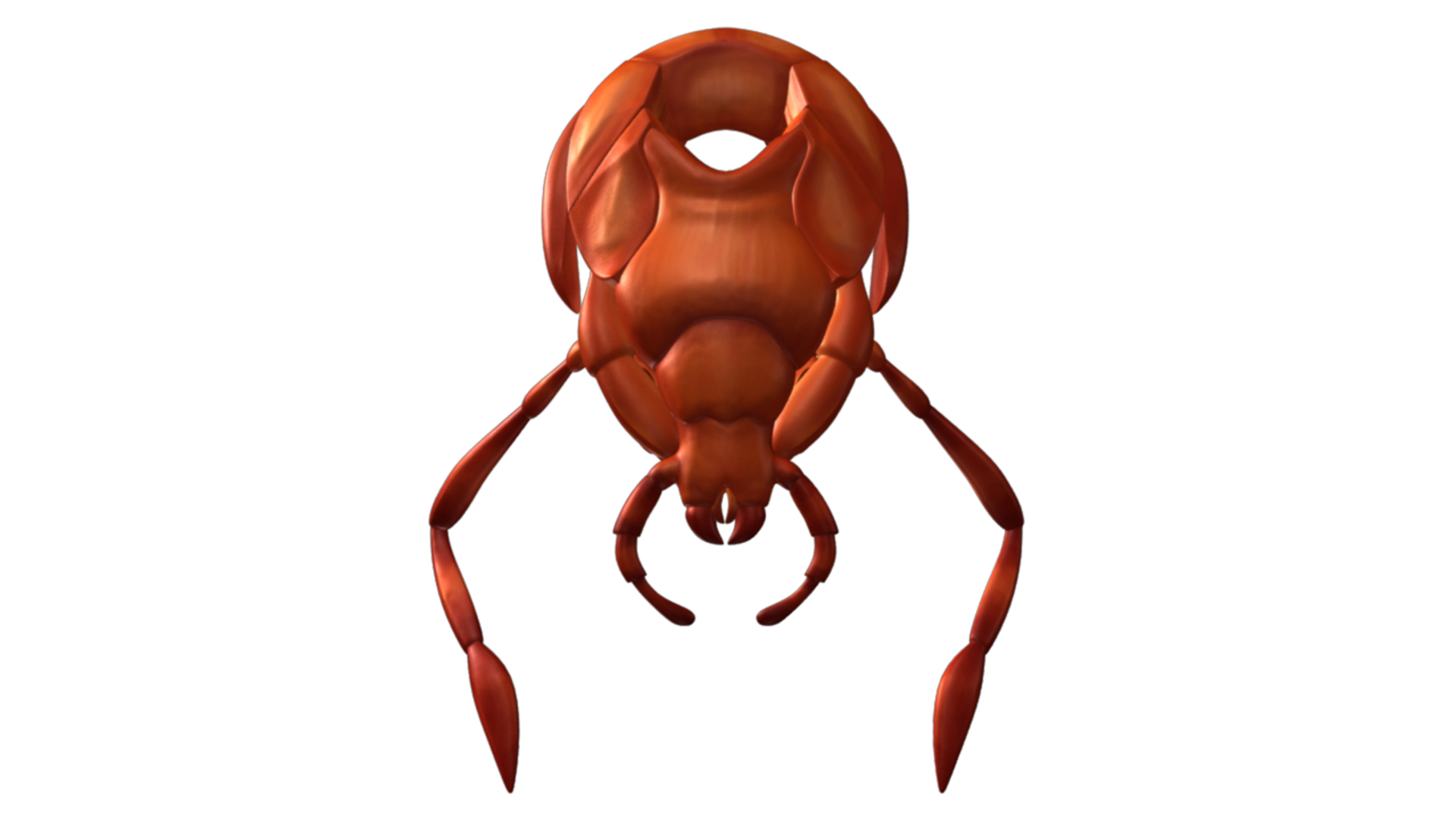 3d model mouth parts cockroach