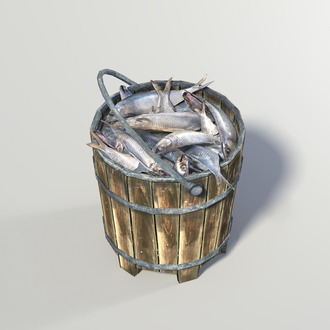 3d Model Bucket Fish