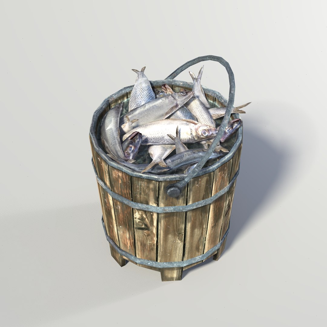 3d Model Bucket Fish