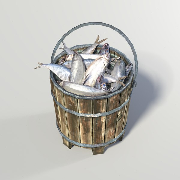 3d model bucket fish
