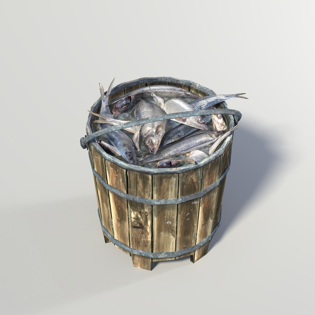 3d Model Bucket Fish