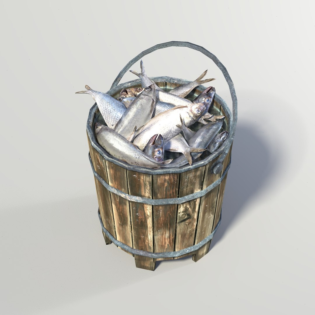 3d Model Bucket Fish