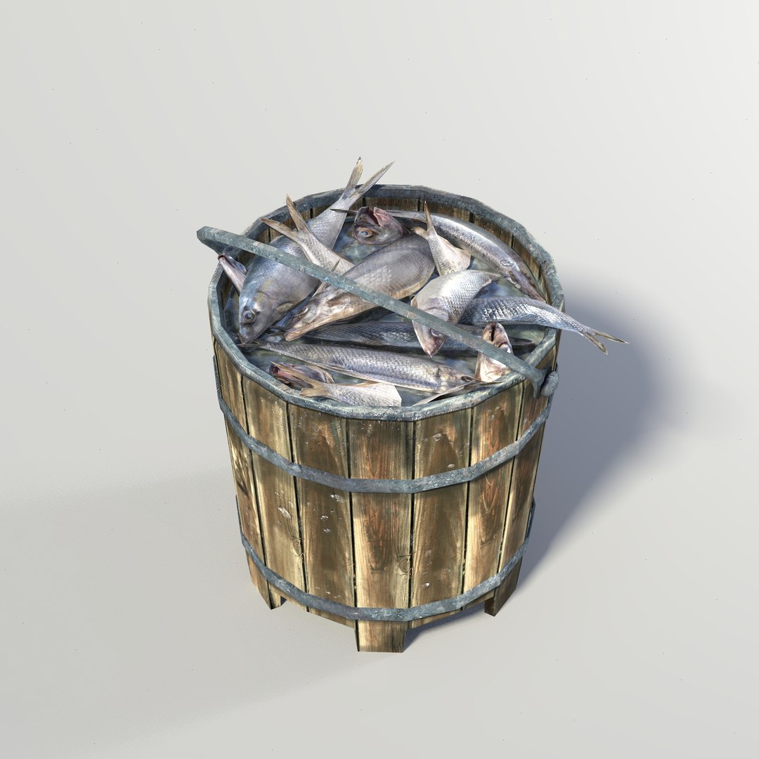 3d Model Bucket Fish
