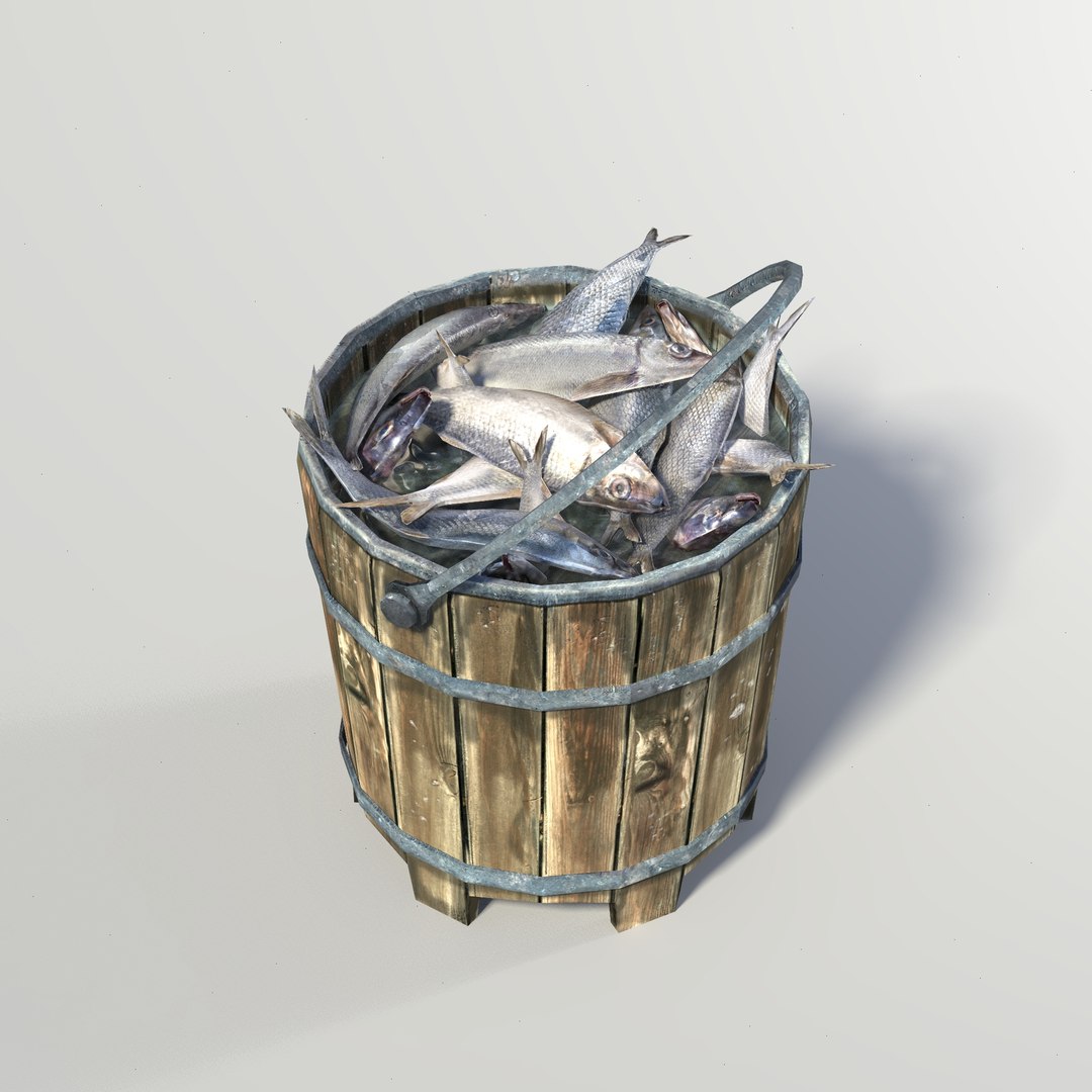 3d Model Bucket Fish