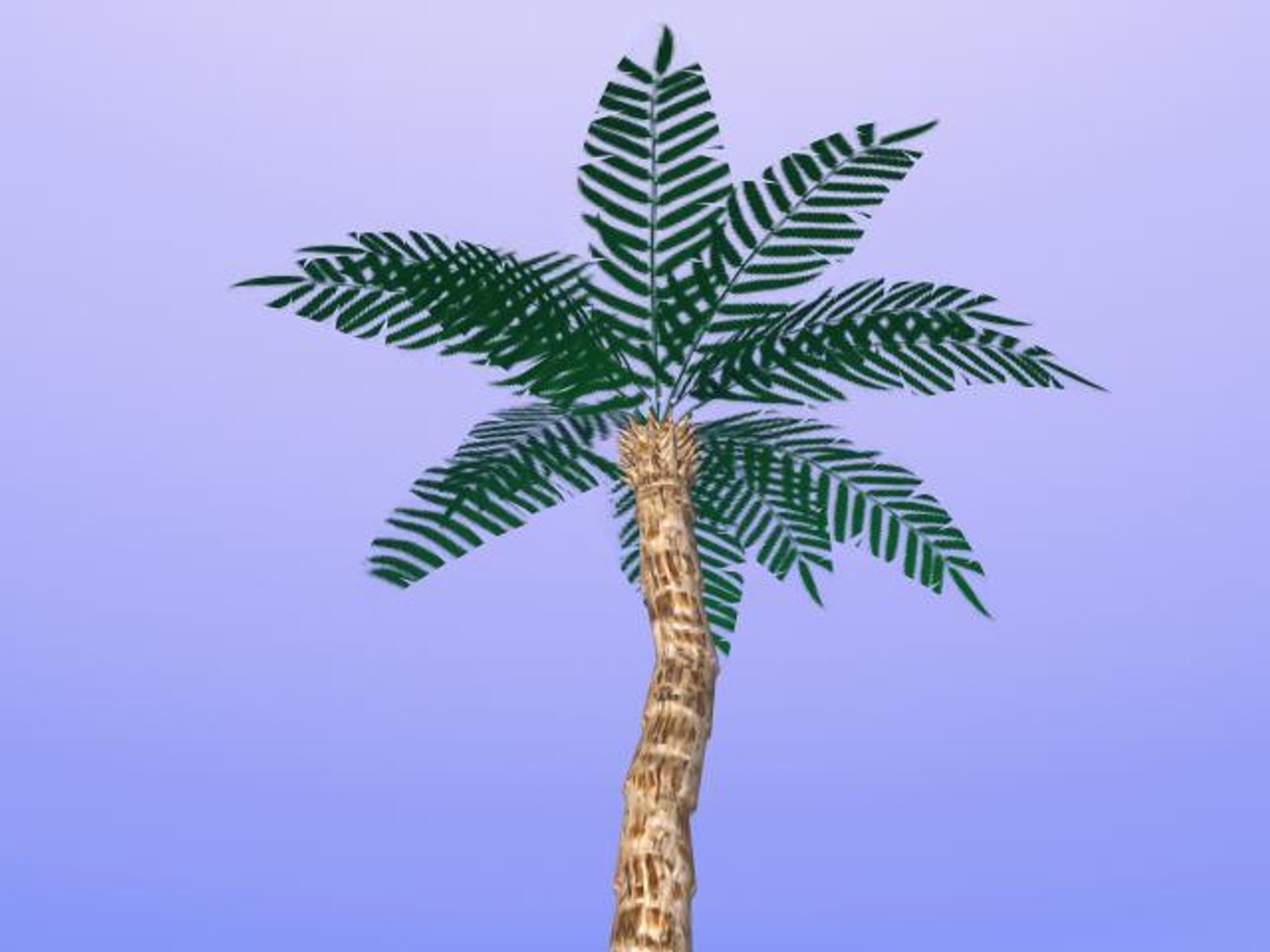 Free Obj Model Palm Tree
