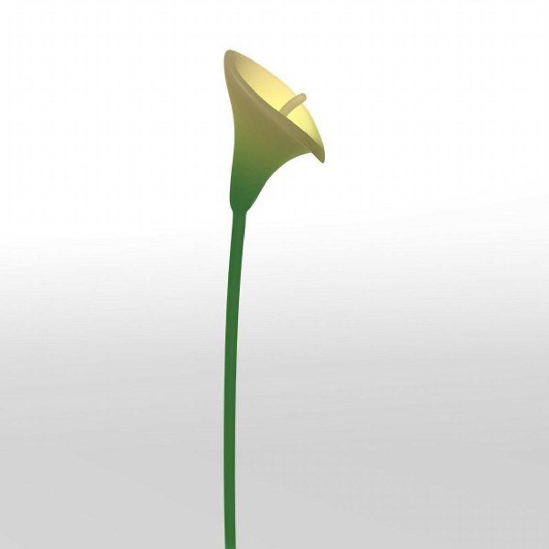 Calla Lily 3d 3ds