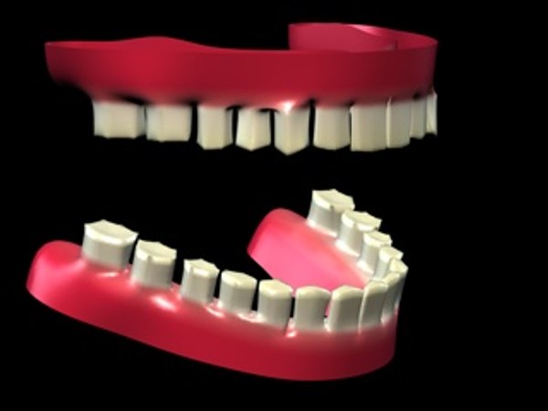 Free Teeth 3D Models for Download | TurboSquid