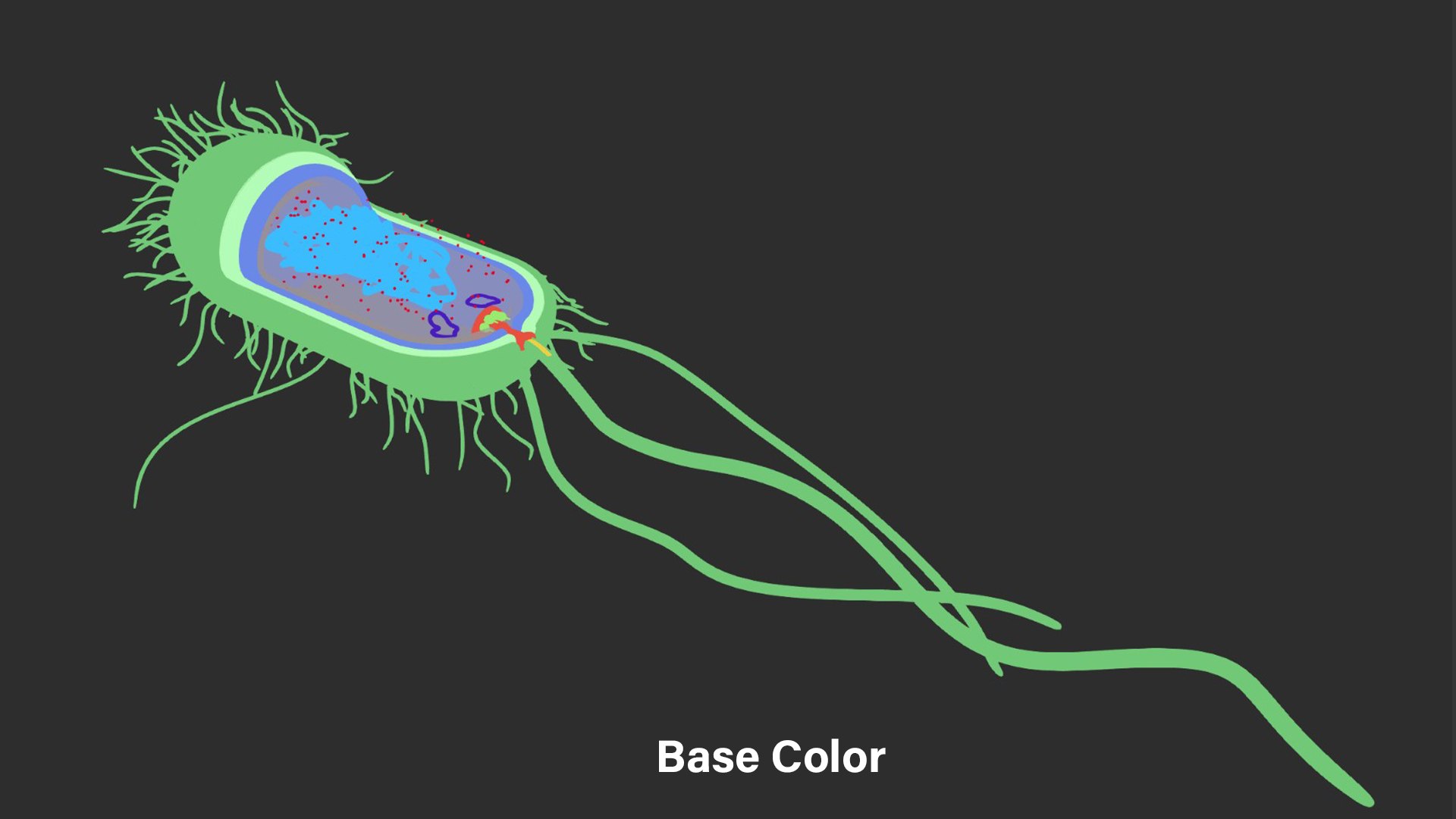 Prokaryotic Bacterial Cell Anatomy 3D Model - TurboSquid 1987923