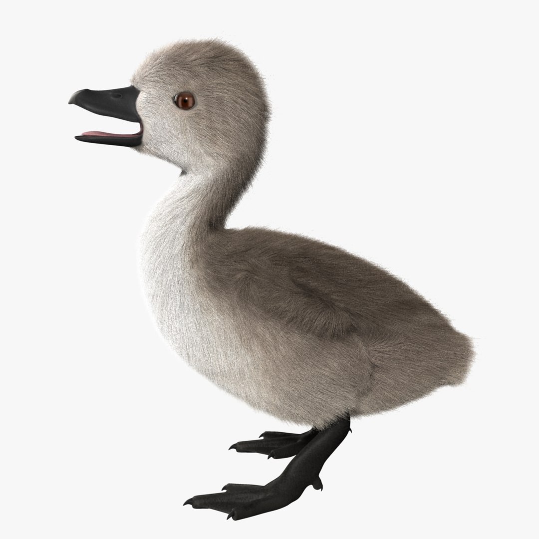 maya cygnet animation fur