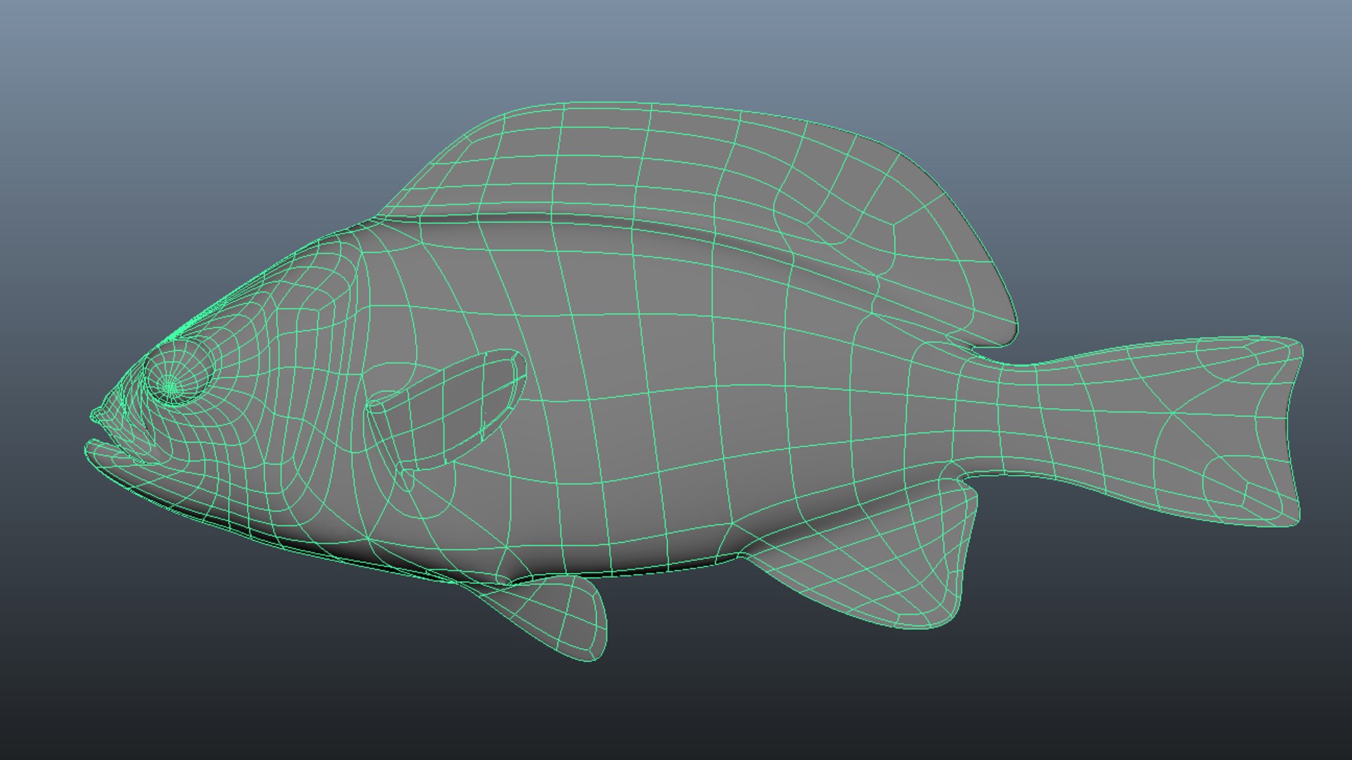 3D model Saltwater Fish Collection 8 - TurboSquid 1831738