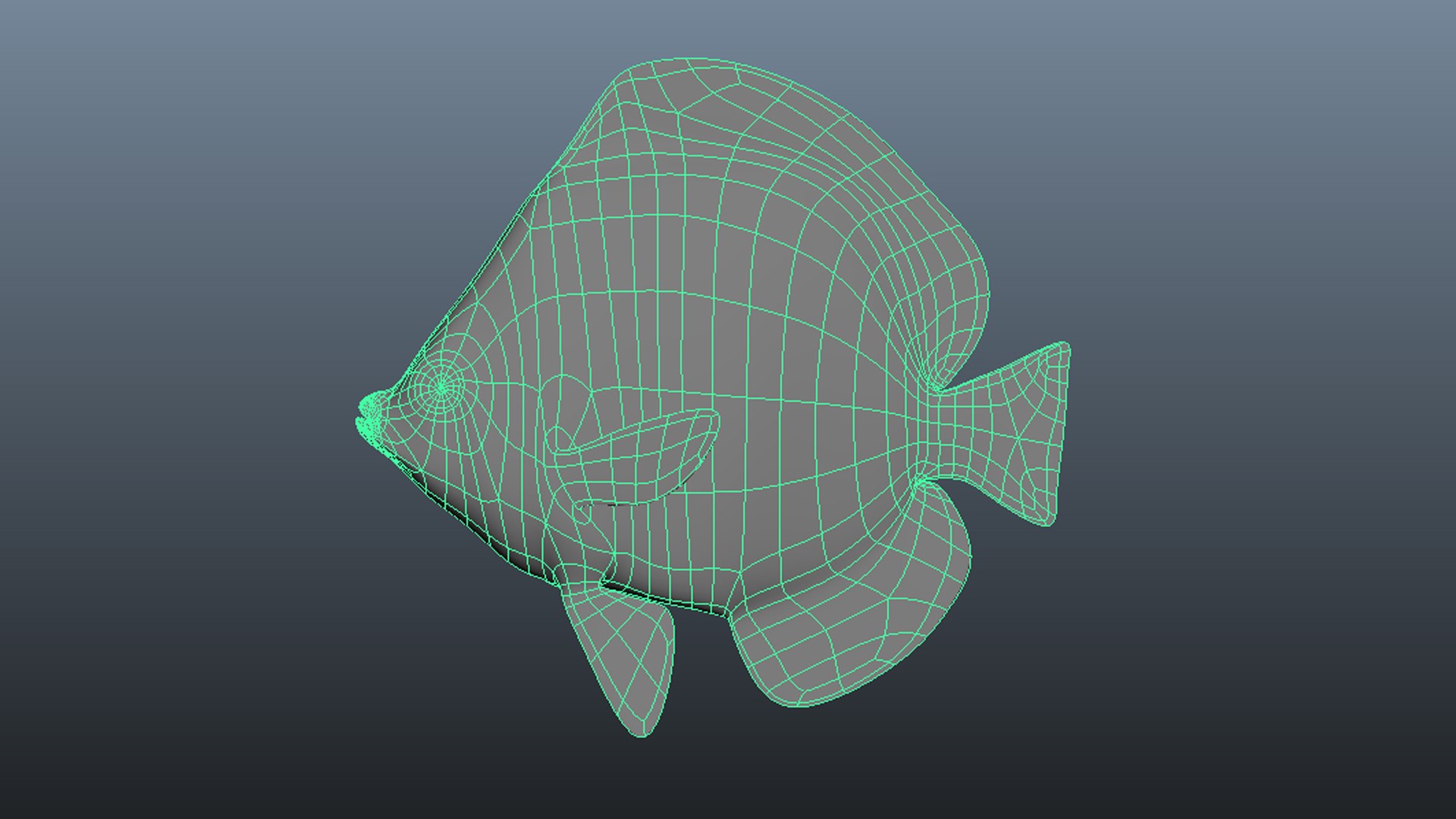 3D model Saltwater Fish Collection 8 - TurboSquid 1831738