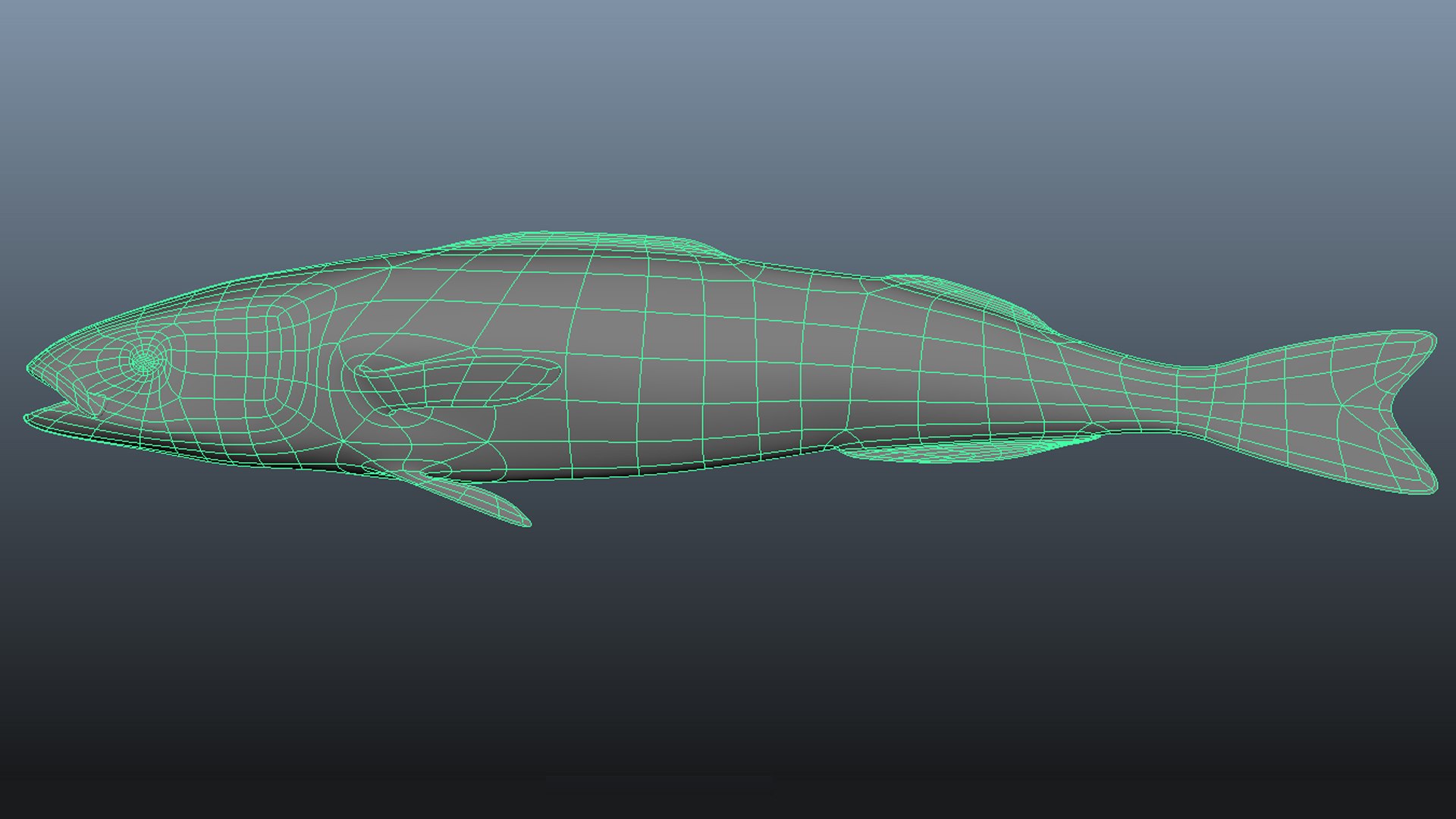 3D model Saltwater Fish Collection 8 - TurboSquid 1831738