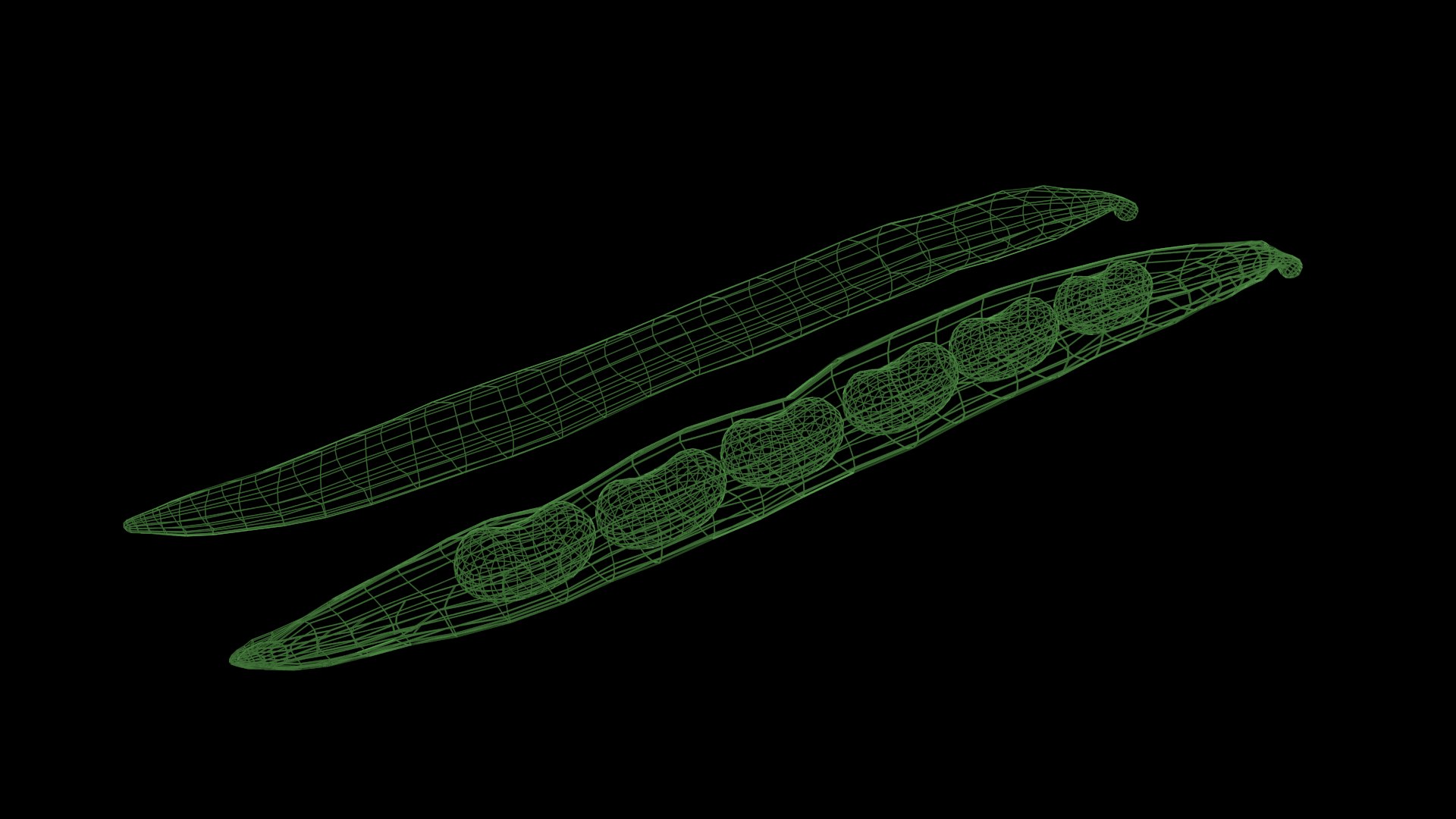 3D Haba Low-poly 3D Model - TurboSquid 1923984