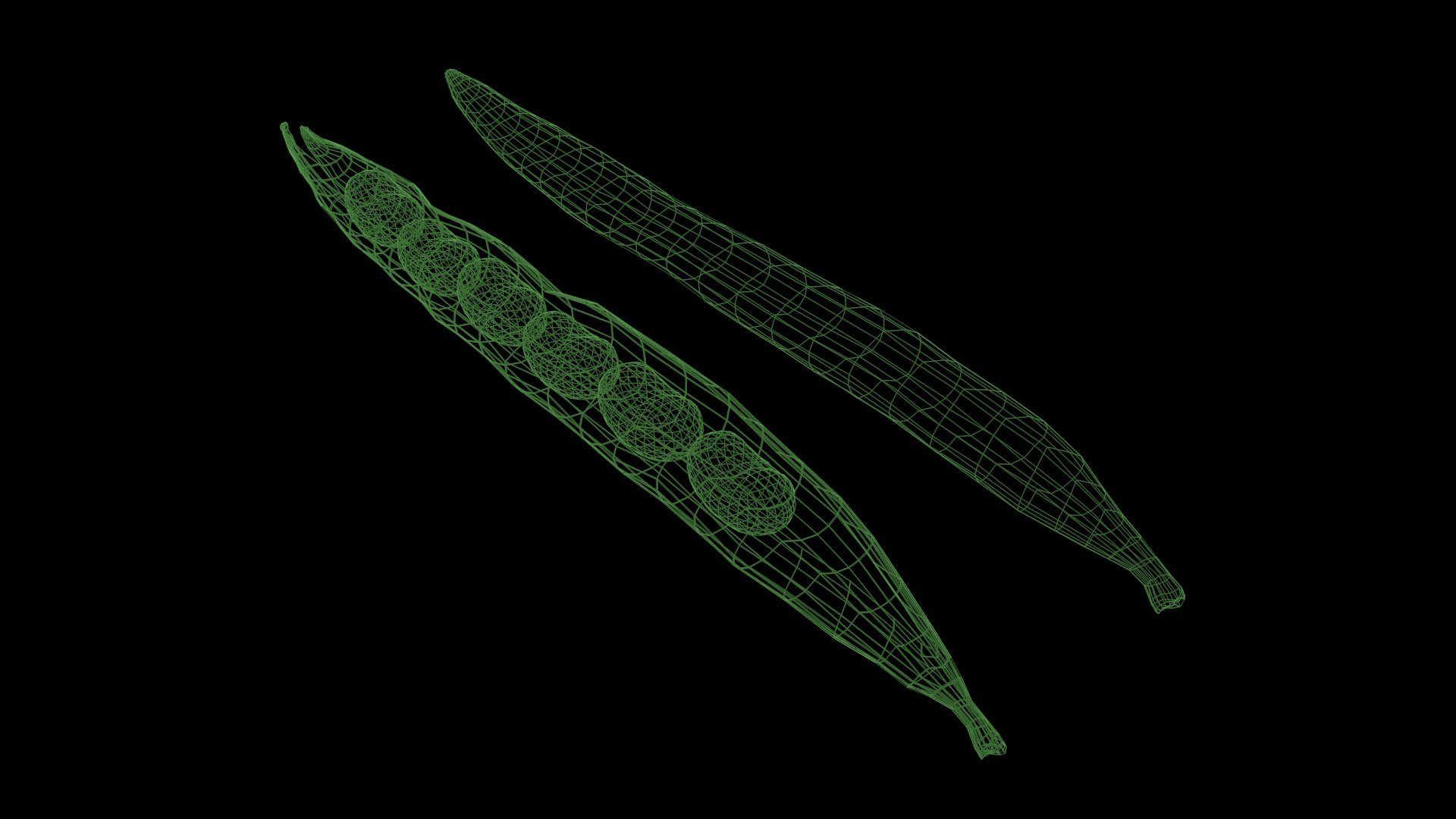 3D Haba Low-poly 3D Model - TurboSquid 1923984