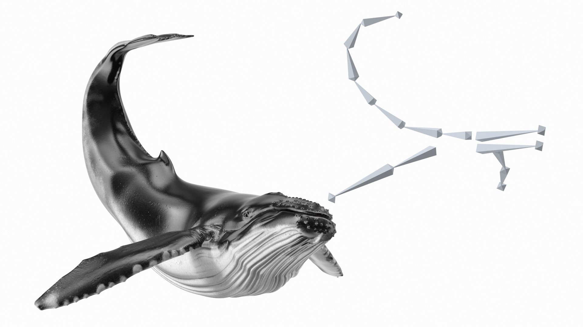 Realistic Humpback Whale Rigged 3D Model - TurboSquid 2271112