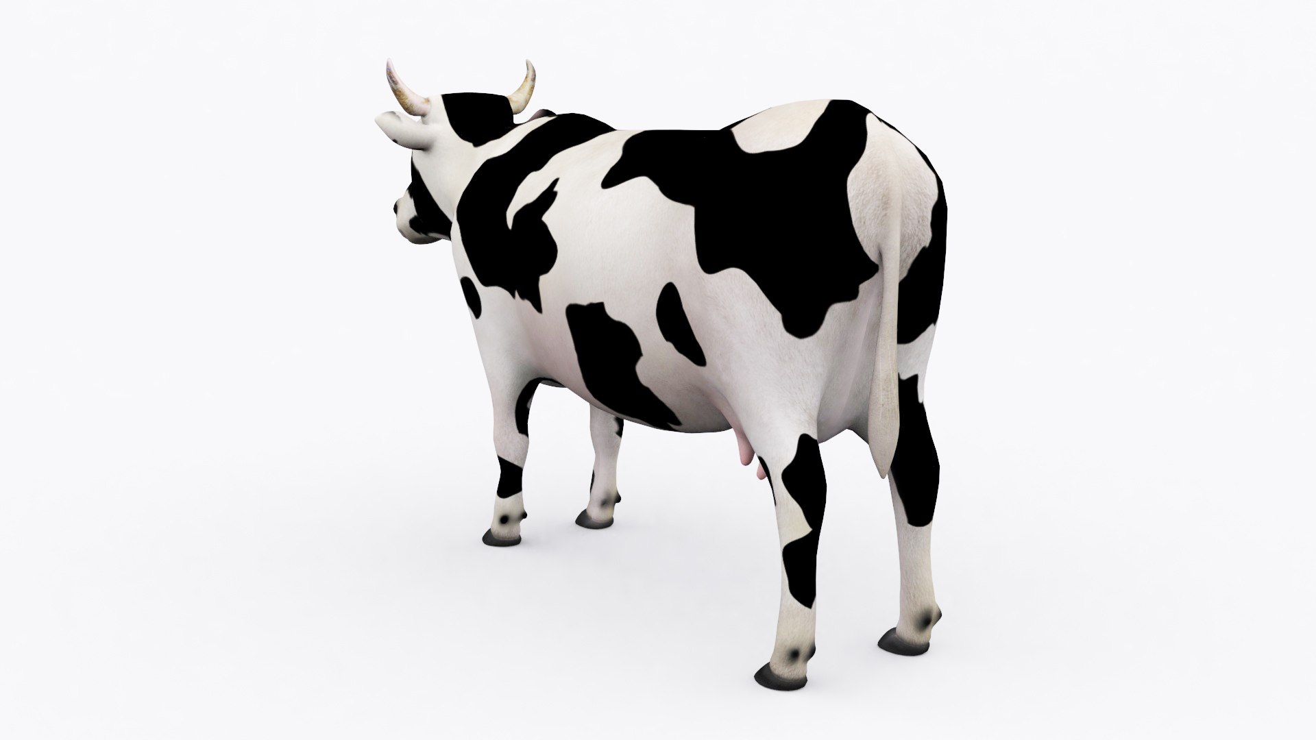 Cow 3D Model - TurboSquid 1618078