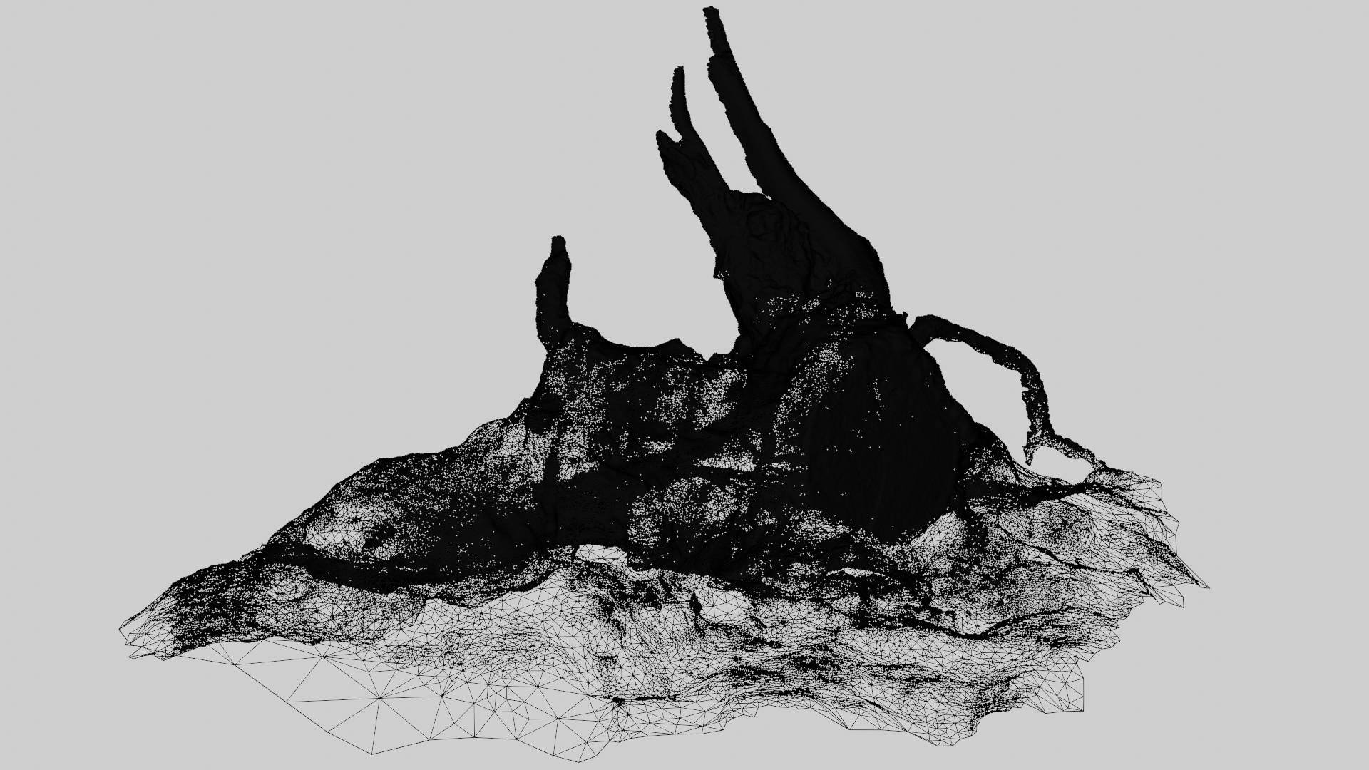 Scanned Fallen Tree Stump 3D - TurboSquid 1699287