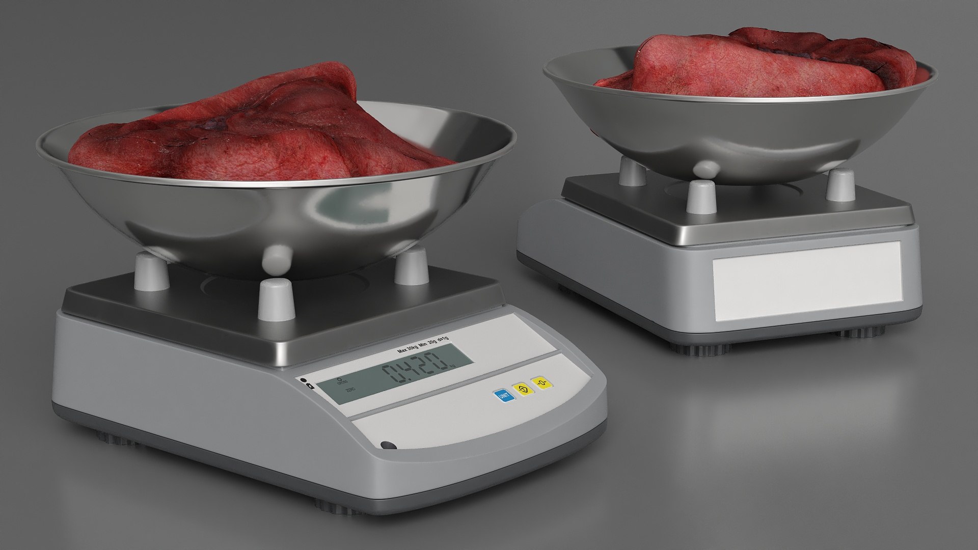 3D Lung On Scales - TurboSquid 2384592