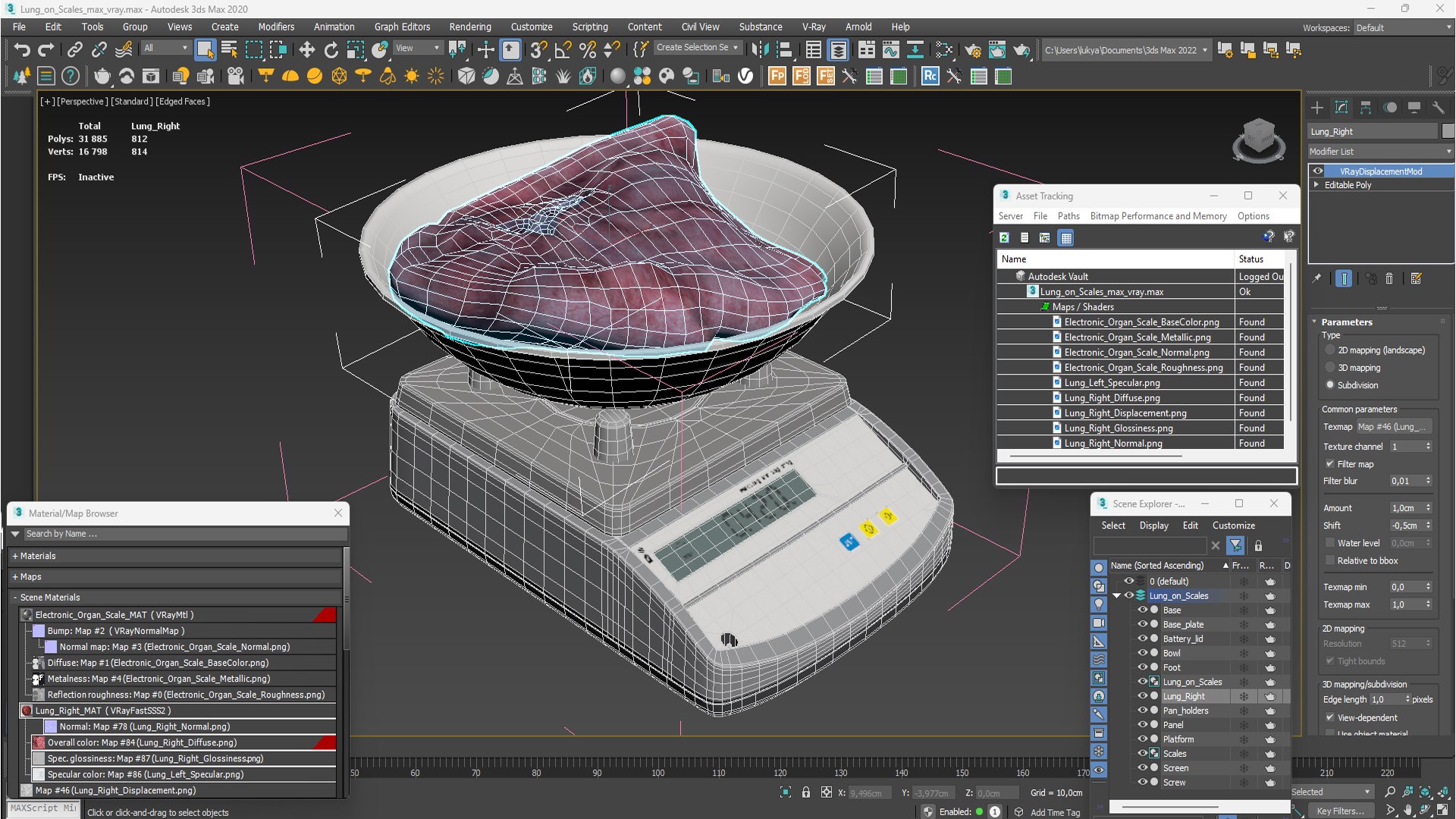 3D Lung On Scales - TurboSquid 2384592