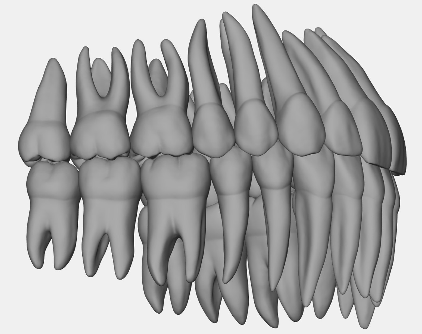 3D Model Azure Upper Lower Jaw - TurboSquid 1615534