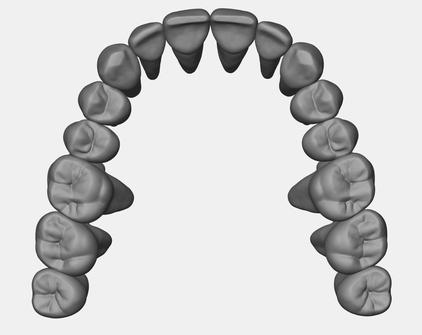 3D Model Azure Upper Lower Jaw - TurboSquid 1615534
