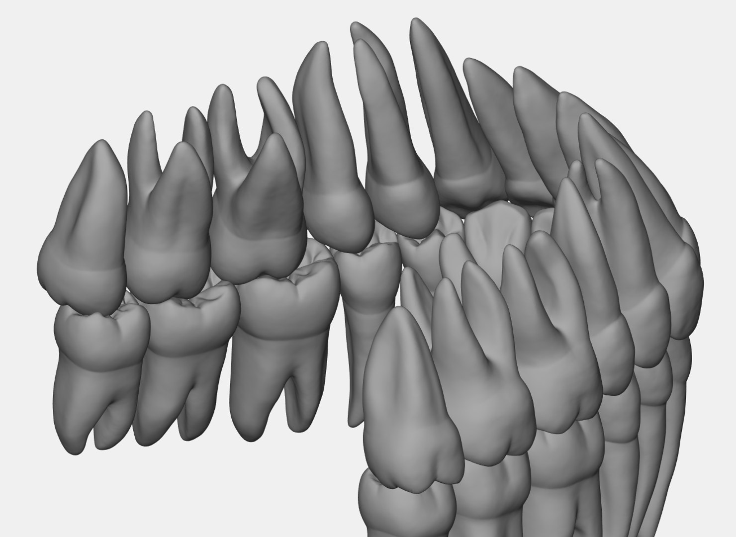 3D Model Azure Upper Lower Jaw - TurboSquid 1615534