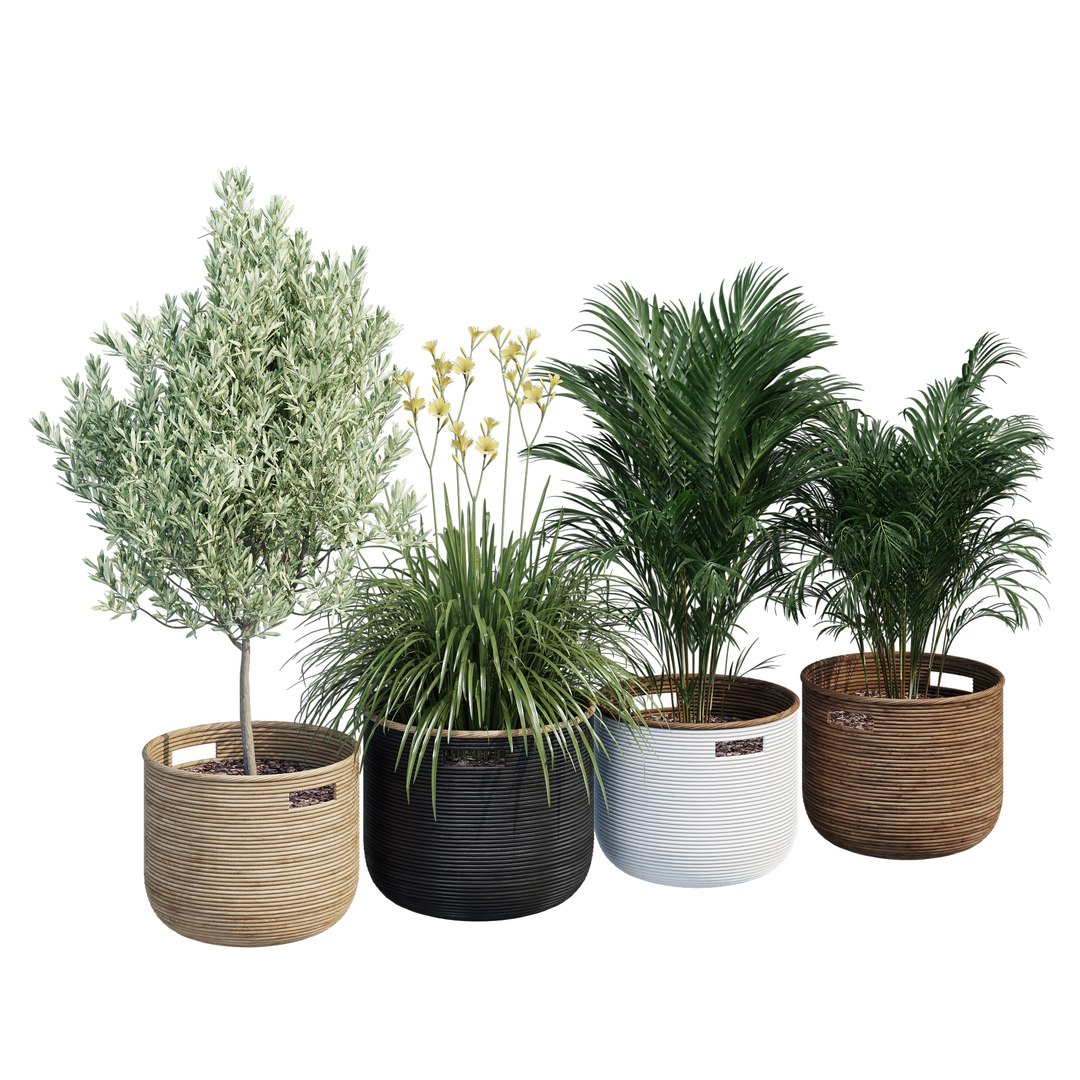 Bamboo baskets one 3D model - TurboSquid 1770152