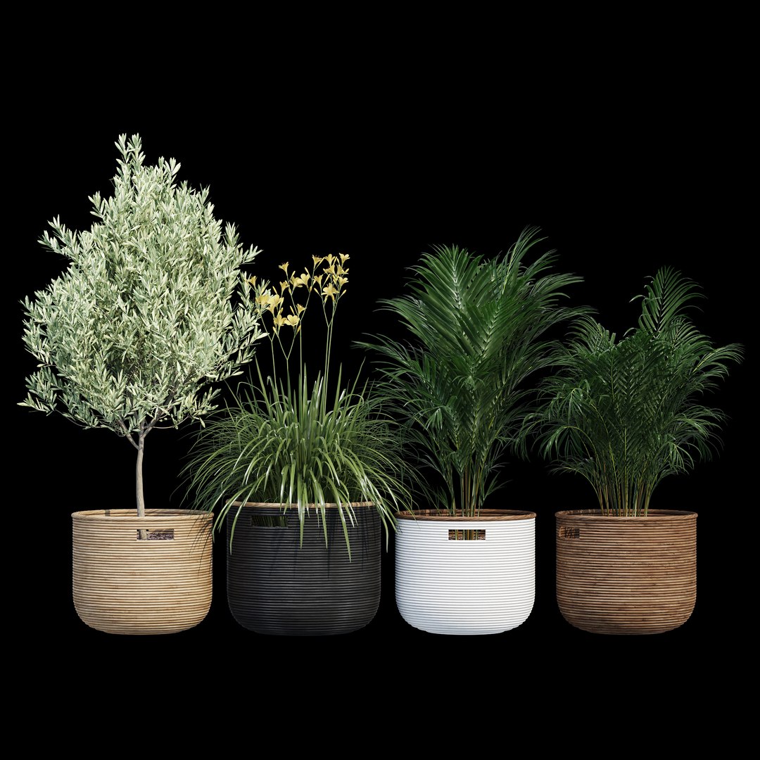 Bamboo baskets one 3D model - TurboSquid 1770152