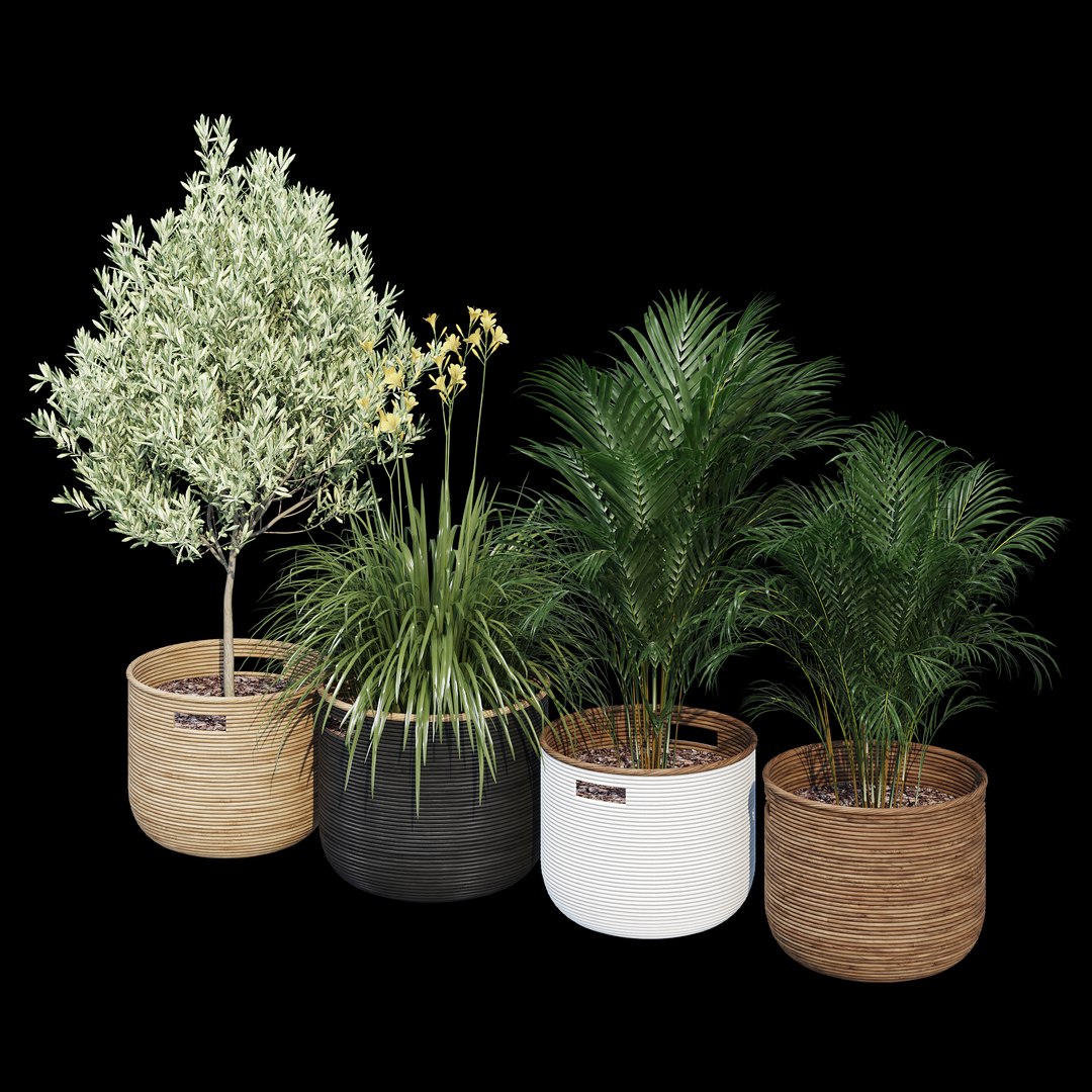 Bamboo baskets one 3D model - TurboSquid 1770152