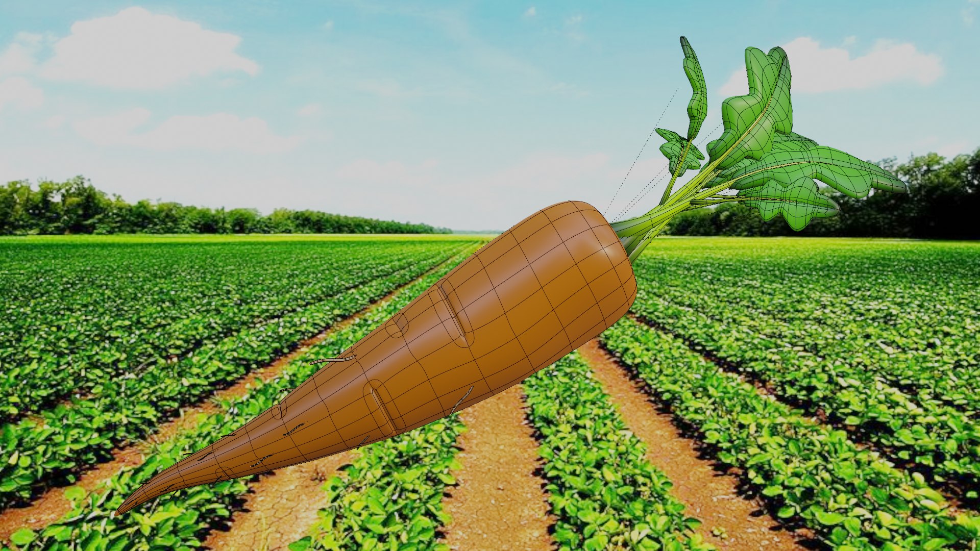 3D Carrot Scene Model - TurboSquid 2115140