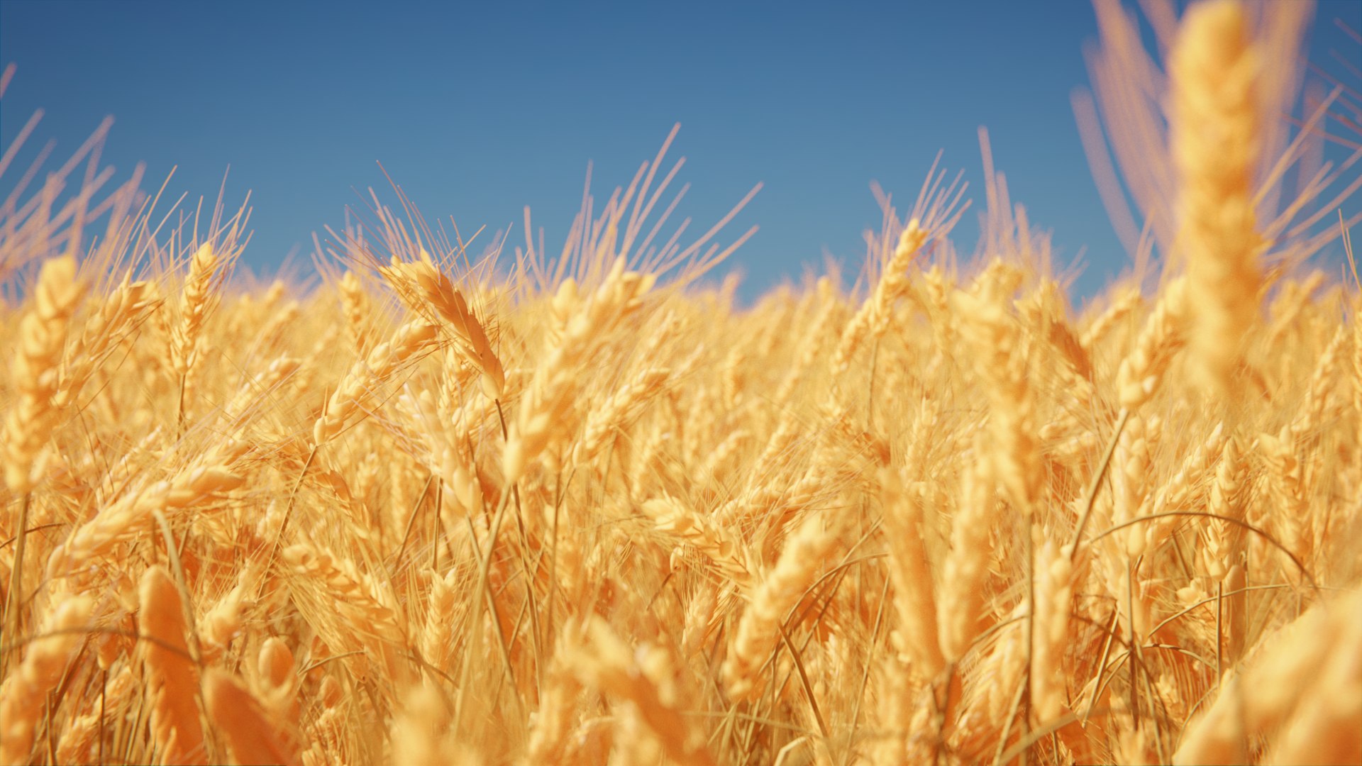 3D Wheat Field 3d Scene - TurboSquid 1987562