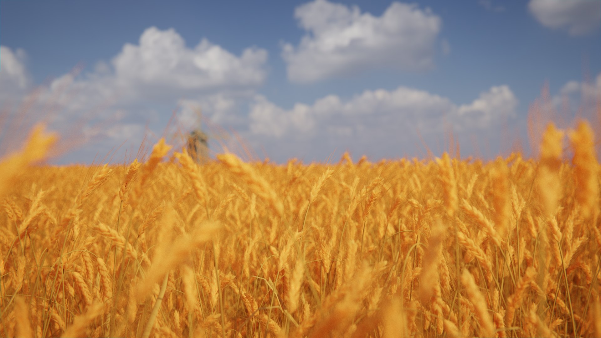 3D Wheat Field 3d Scene - TurboSquid 1987562