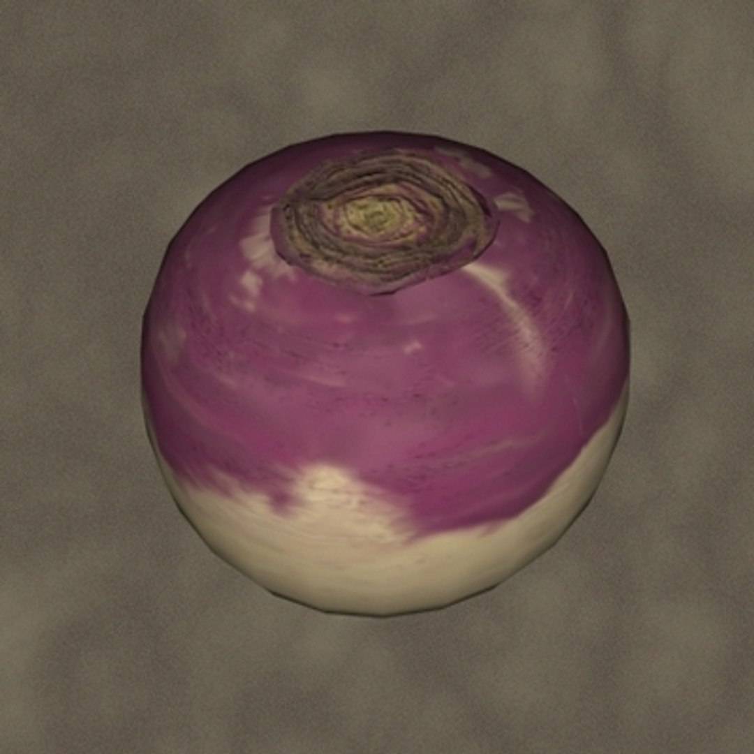 3d turnip zipped model