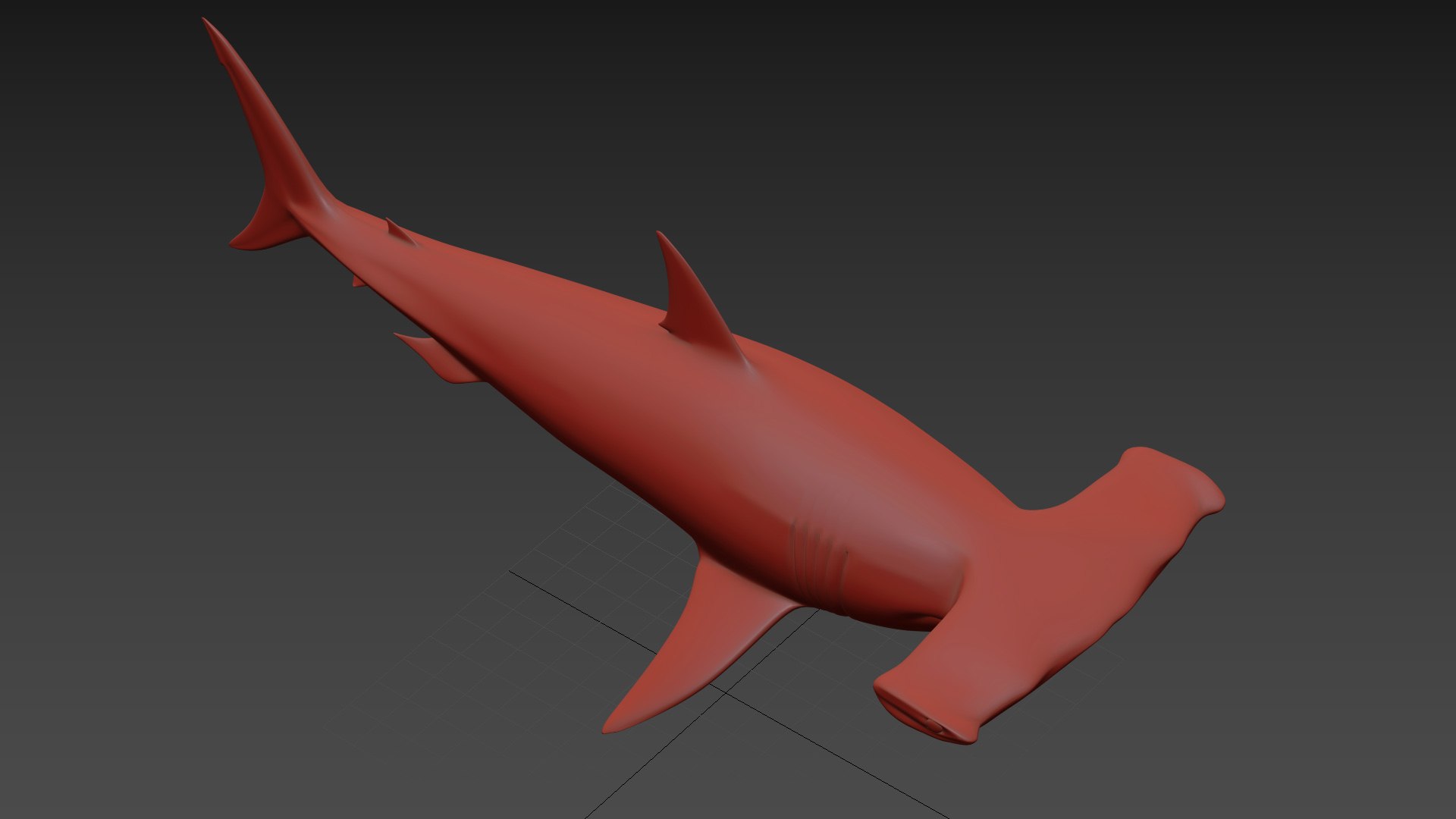 3D Hammerhead Shark 8K- 3d Animated - TurboSquid 2134358