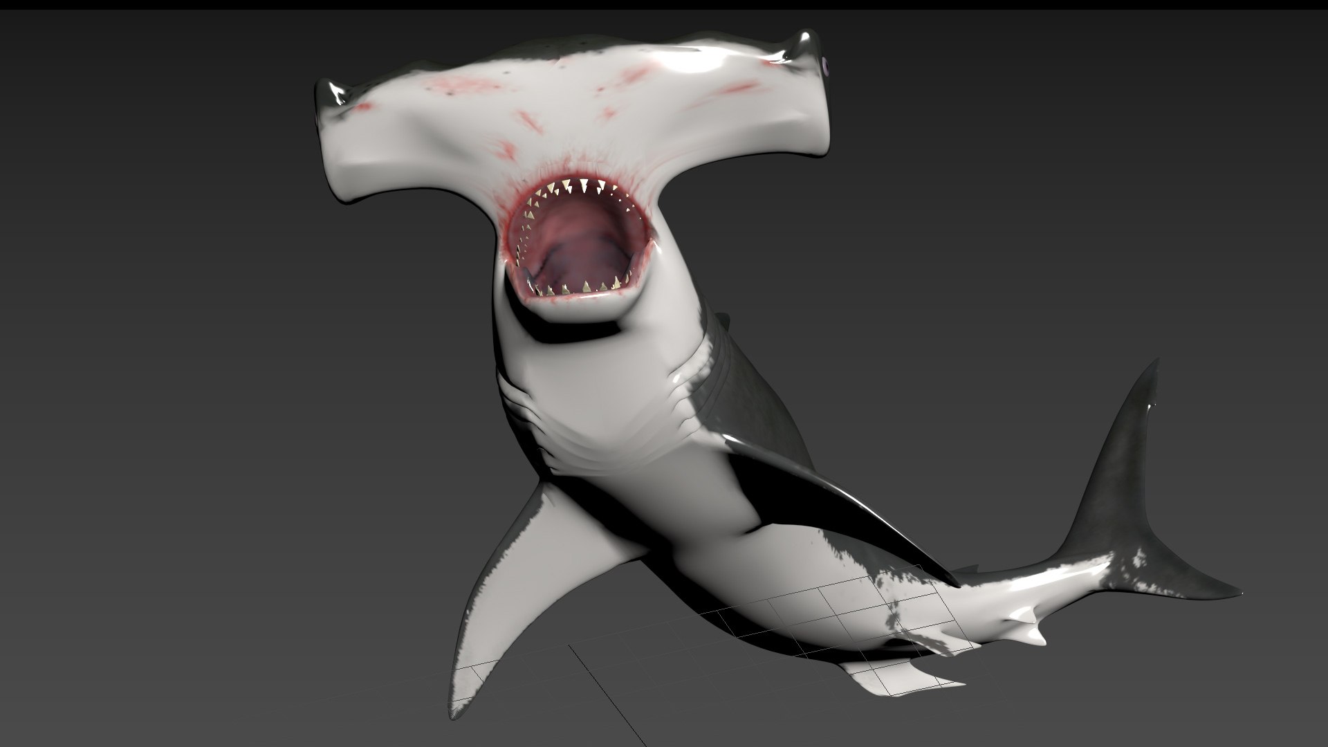 3D Hammerhead Shark 8K- 3d Animated - TurboSquid 2134358