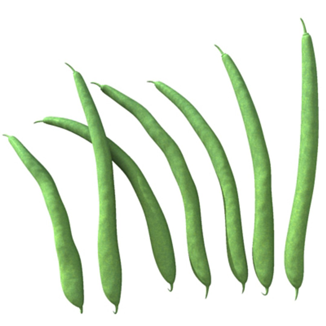 max beans