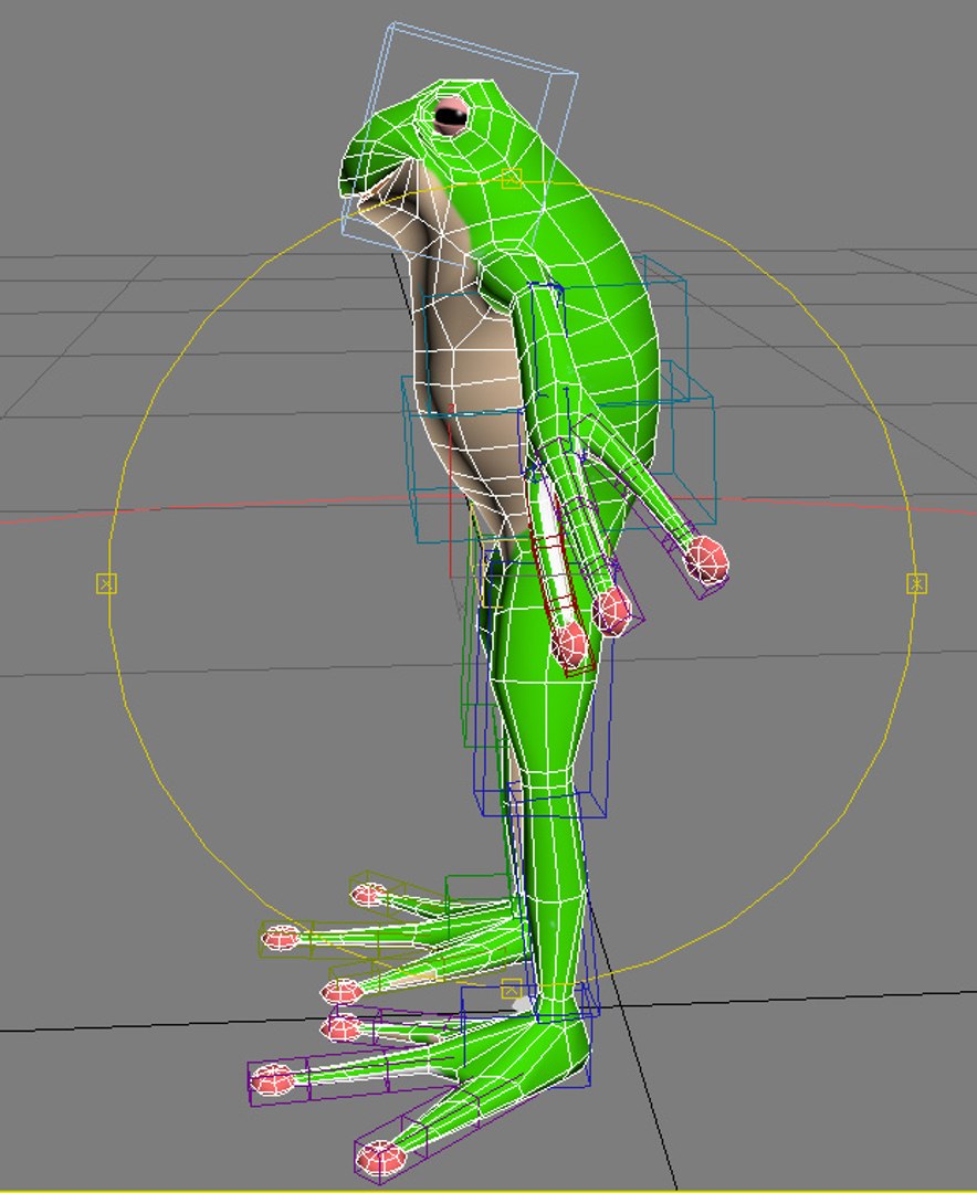 Cartoon Frog Rigged Character 3d Max