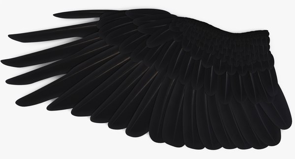Black Raven Feather Wings 3D model - TurboSquid 1736987
