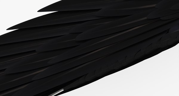 Black Raven Feather Wings 3D model - TurboSquid 1736987